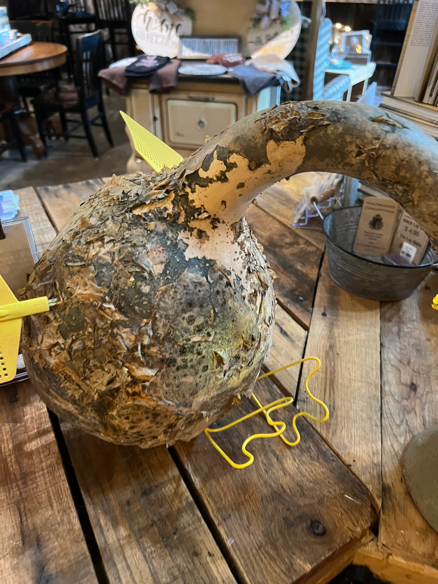 Squash Duck – The Nickel Barn