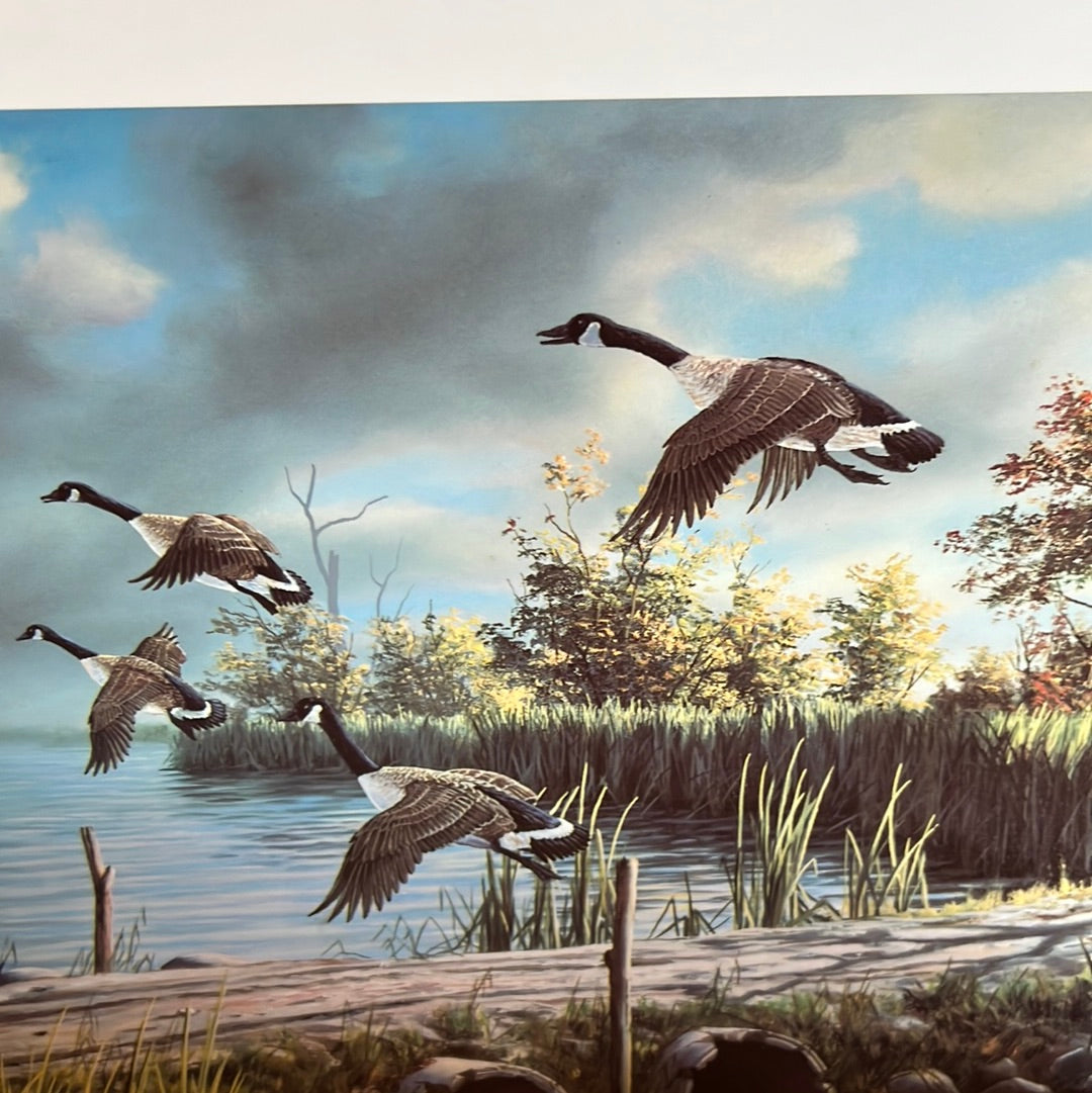 Commemorative North American Game Bird Series – The Nickel Barn